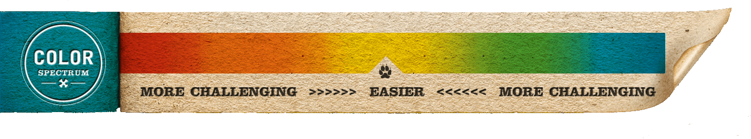 What Color is Your Dog? – Official Joel Silverman Website