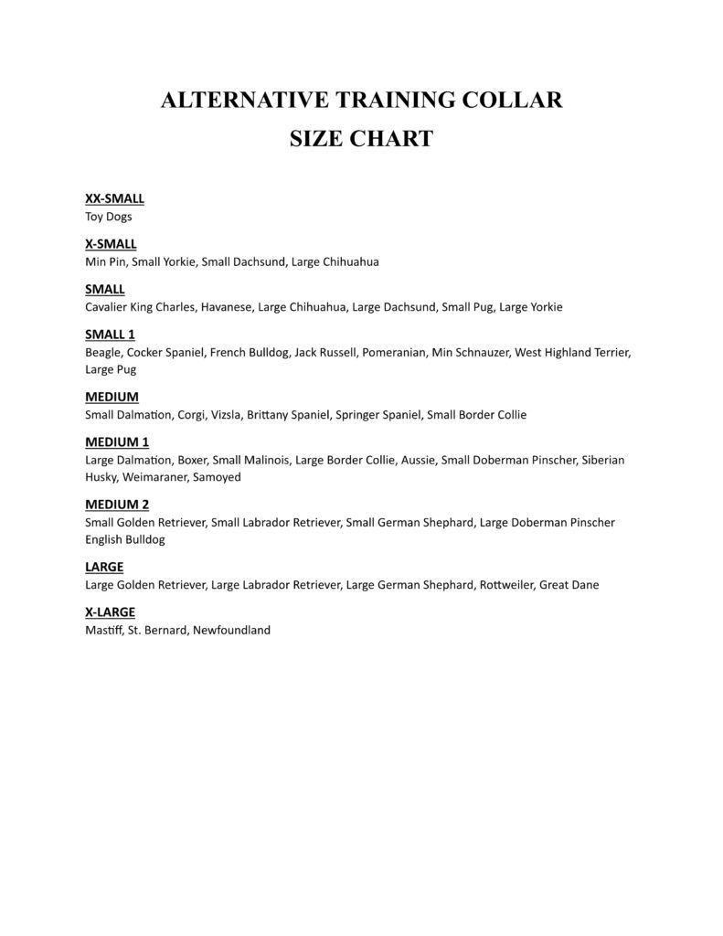 Official Joel Silverman Website